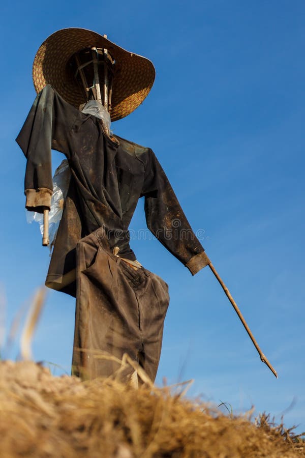 Scarecrow stock image. Image of soil, tropical, scarecrow - 41398469