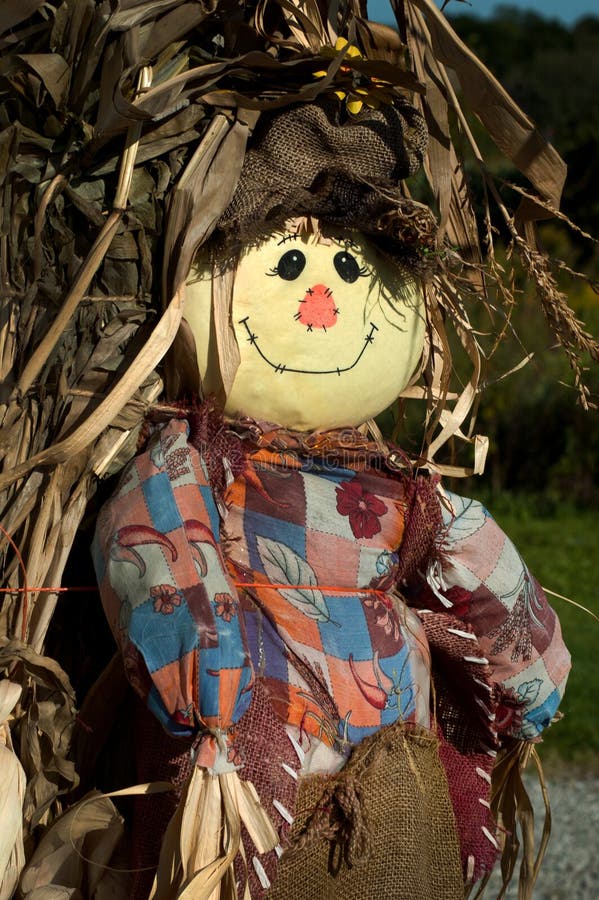 Scarecrow in the corn stock photo. Image of food, scare - 28003434