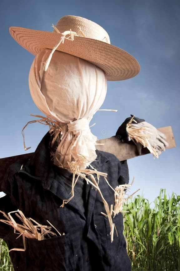 448 Corn Field Scarecrow Stock Photos - Free & Royalty-Free Stock ...