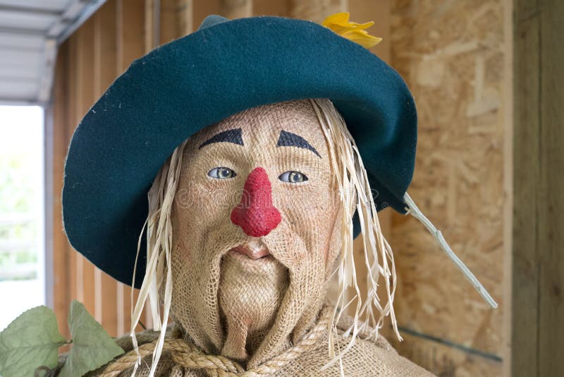 Scarecrow Face Closeup with Realistic Eyes Stock Image - Image of face ...