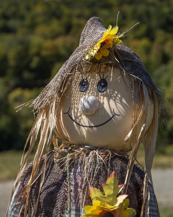 Scarecrow in farm stock photo. Image of tree, nature - 30097610
