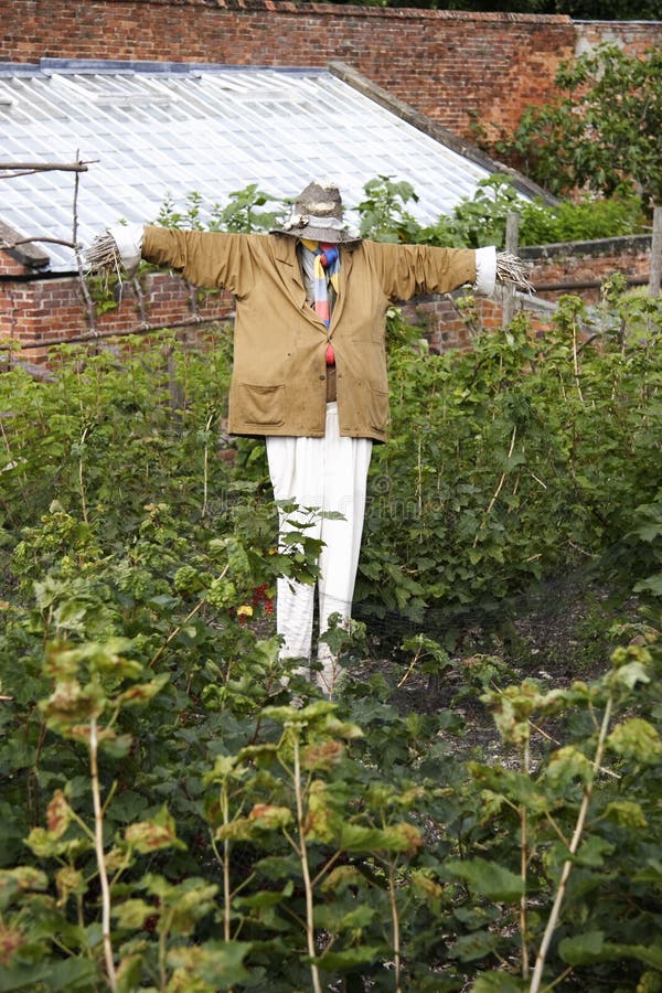 Scarecrow in a Fruit Garden Stock Image - Image of scarey, healthy: 6875815