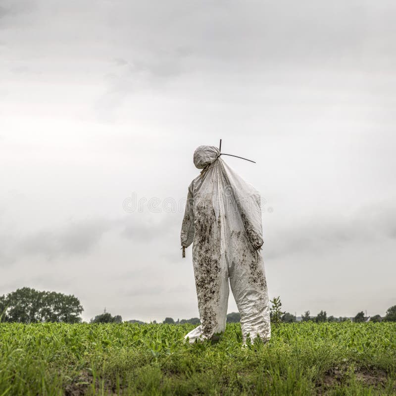 Scarecrow in a green field stock image. Image of outdoors - 218408833