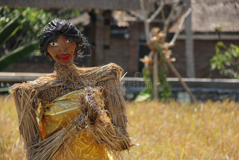 Scarecrow Bearded Hunting Man Stock Image - Image of hunt, sunglasses ...
