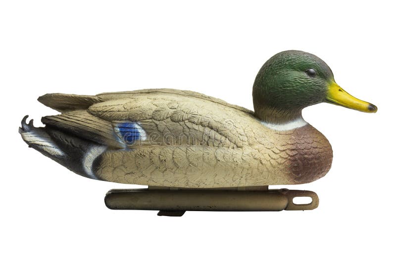 Scarecrow Plastic Duck Hunting on a White Background. Stock Photo ...