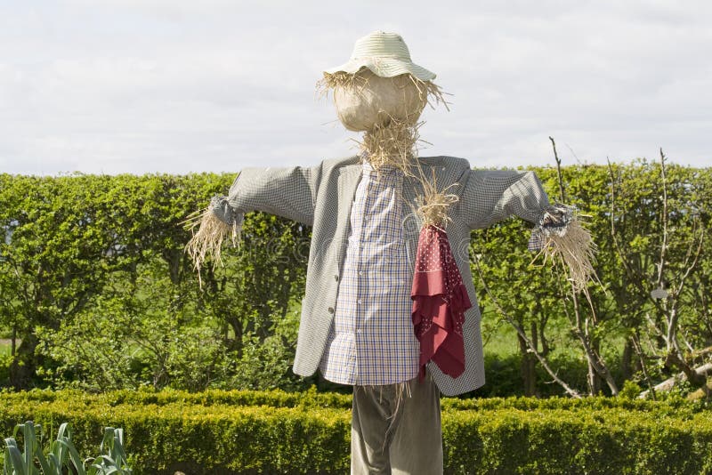 Scarecrow stock photo. Image of protection, straw, scarecrow - 32893110