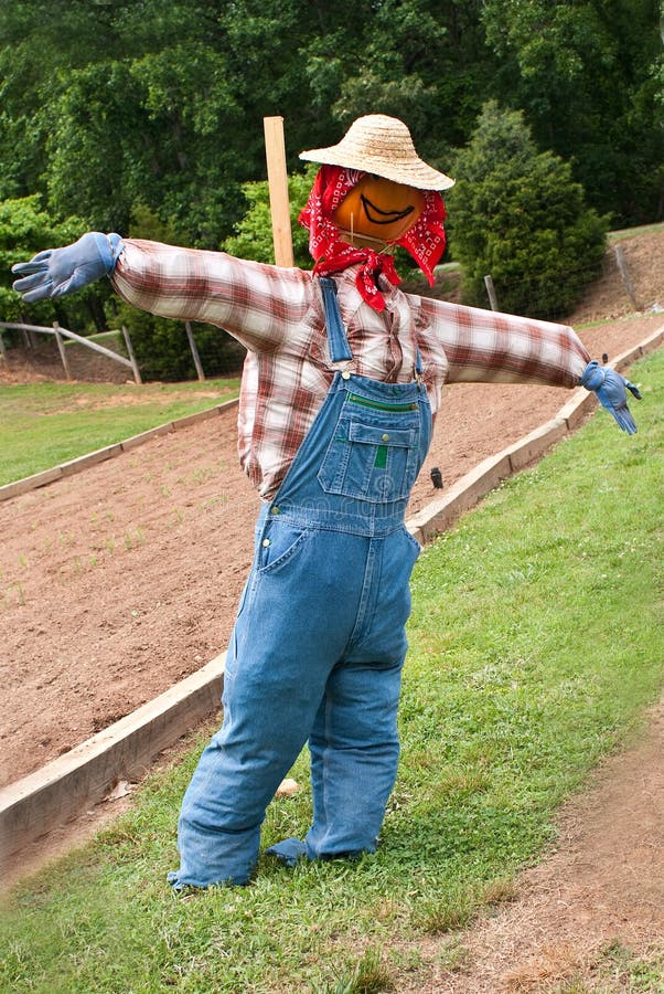 Scarecrow with Pumpkin Head Wearing Overalls Stock Photo - Image of ...