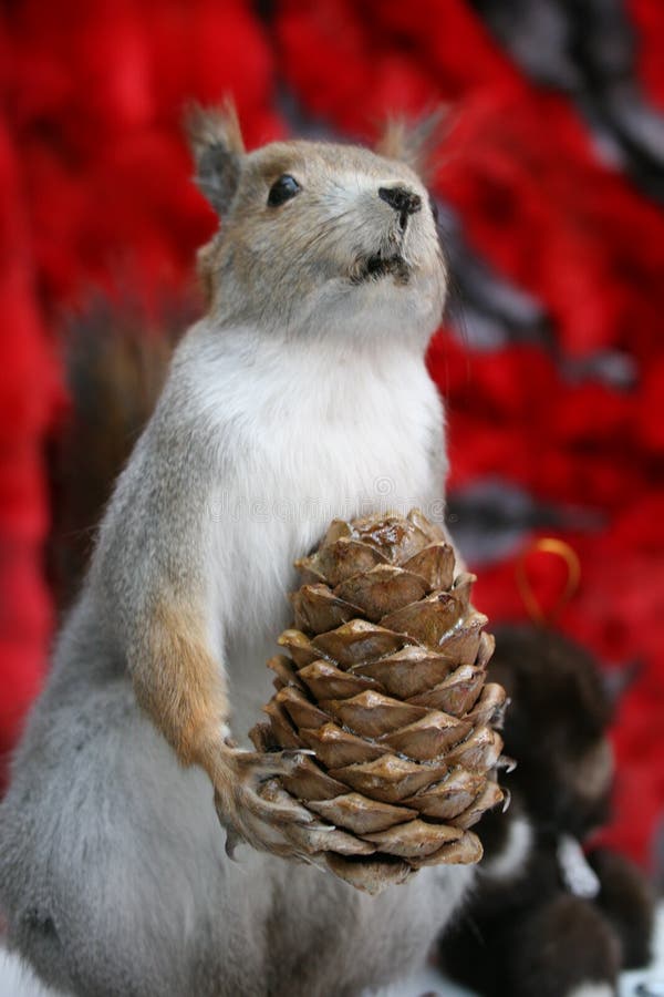 Scarecrow of Squirrel with Cone Stock Image - Image of showing, color ...