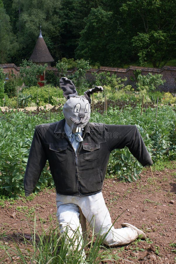 Scarecrow stock image. Image of cultivated, decoration - 60689655