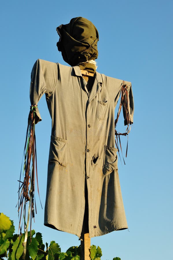 Scarecrow for Birds Discourage Stock Photo - Image of background, fear ...