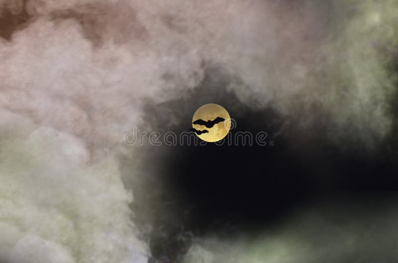 Bat Shadow Png Transparent Stock Photos - Free & Royalty-Free Stock ...