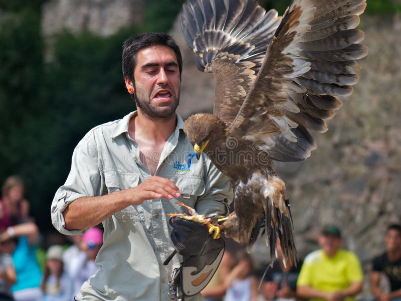 Scared Bird Trainer editorial photography. Image of protective - 27743017