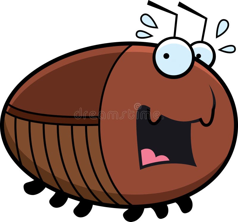 Scared Cartoon Cockroach stock vector. Illustration of roach - 47089025