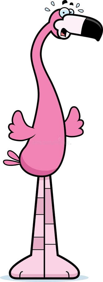 Scared Cartoon Flamingo stock vector. Image of feathers - 47399440