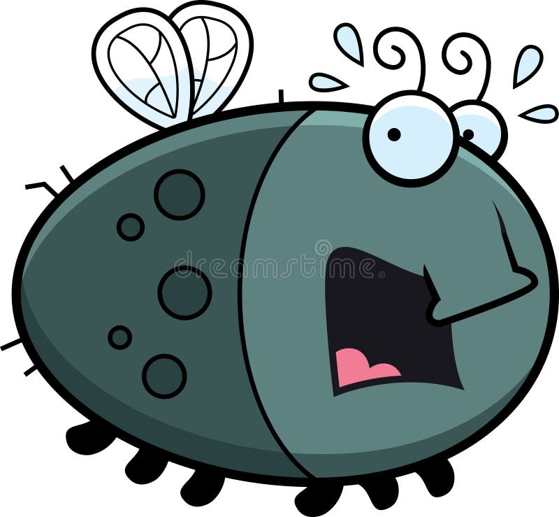 Scared Cartoon Fly stock vector. Illustration of graphic - 47088585