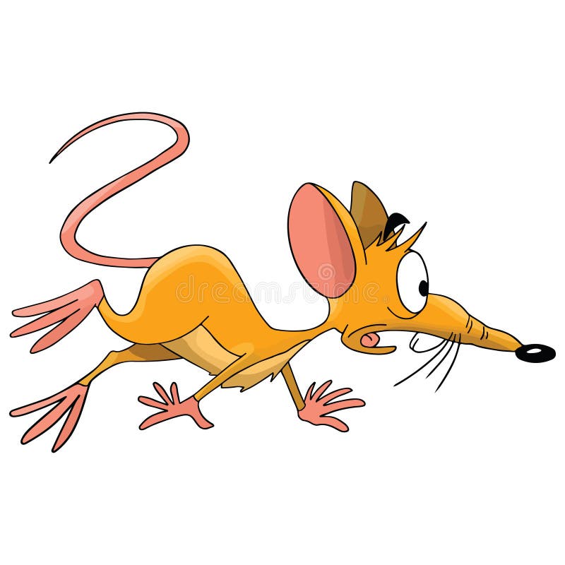 55+ Mouse scared Free Stock Photos - StockFreeImages