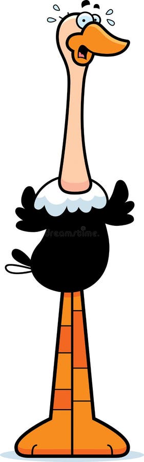 Scared Cartoon Ostrich stock vector. Illustration of clipart - 47399463
