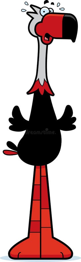 Scared Cartoon Terror Bird stock vector. Illustration of clip - 47399622