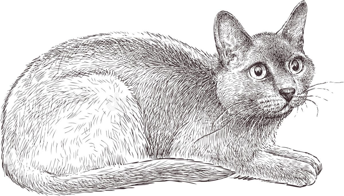 Scared Cat Stock Illustrations – 1,874 Scared Cat Stock Illustrations ...