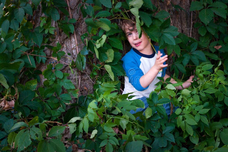 Scared child in the woods stock photo. Image of affright - 60241522