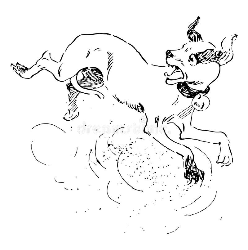 Scared Dog, Vintage Illustration Stock Vector - Illustration of line ...