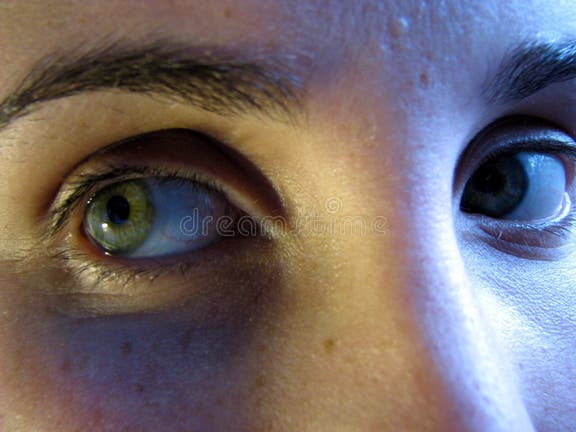 Scared Eyes stock photo. Image of green, pupil, look, eyes - 5350974