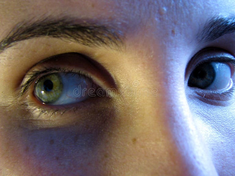 Scared Eyes stock photo. Image of green, pupil, look, eyes - 5350974