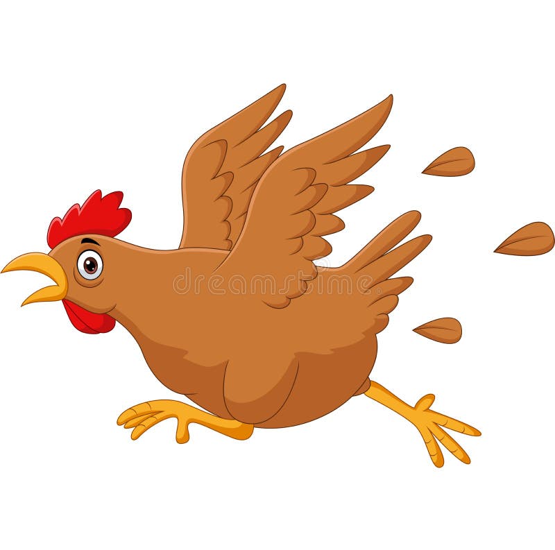2+ Scared chicken Free Stock Photos - StockFreeImages