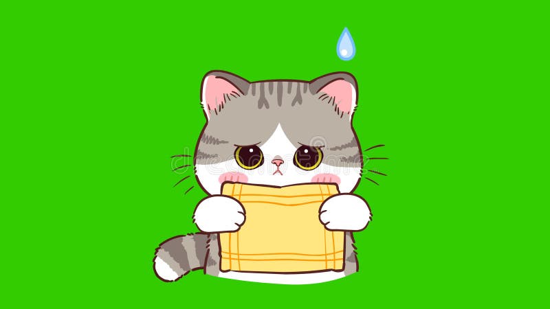 Scared Grey Kitten Hugging Pillow - Green Screen Stock Footage - Video ...