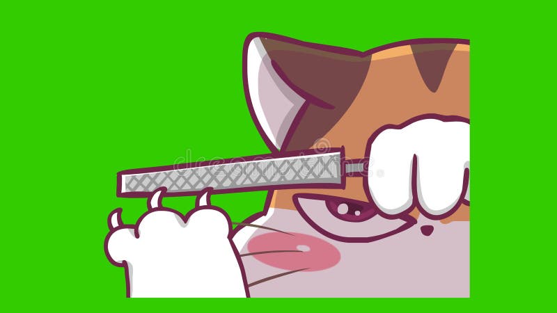 Scared Kitten Animation - Green Screen Background Stock Video - Video ...