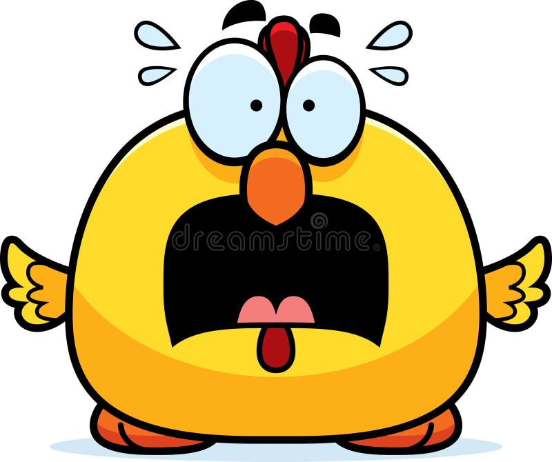 Scared Chicken Cartoon Images