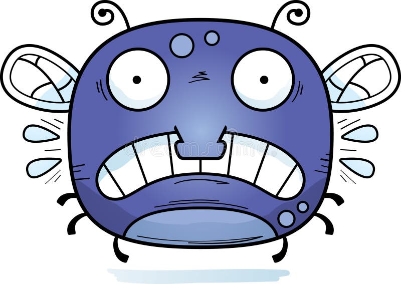 Scared Little Fly stock vector. Illustration of vector - 115895676