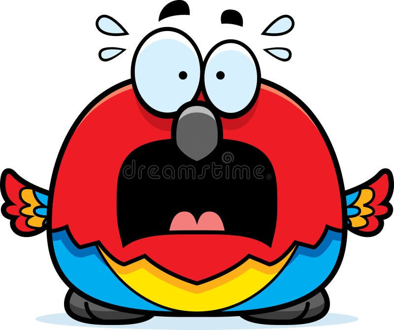 Scared Little Parrot stock vector. Illustration of bird - 47400767