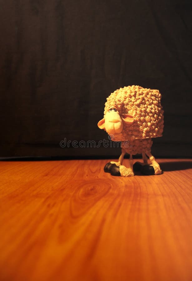 Scared Sheep stock photo. Image of feed, flock, fearful - 1632486