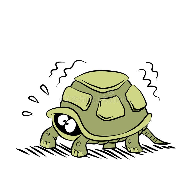 Turtle Scared Stock Illustrations – 59 Turtle Scared Stock ...