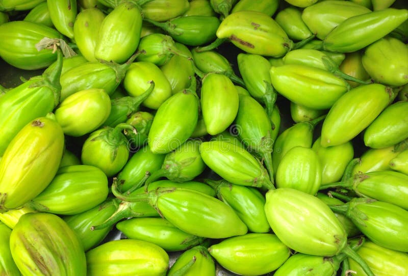Scarlet eggplant stock photo. Image of scarlet, food - 56133532