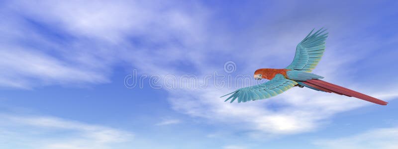 Scarlet Macaw, Parrot, Flying - 3D Render Stock Illustration ...