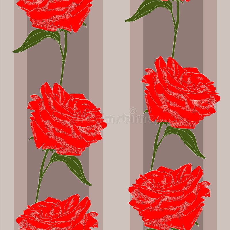 Scarlet roses stock vector. Illustration of plant, scarlet - 42278532