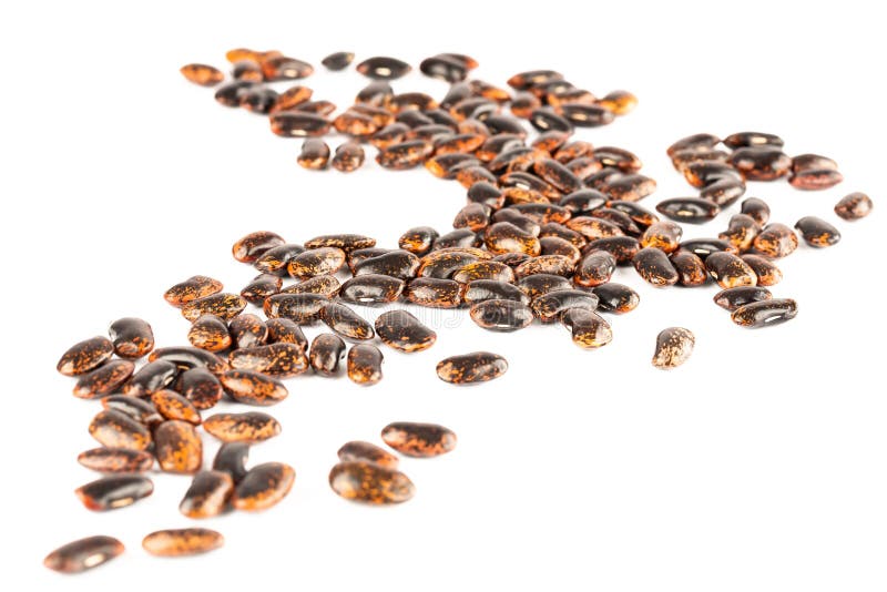 Scarlet runner beans stock photo. Image of dried, black - 166828062