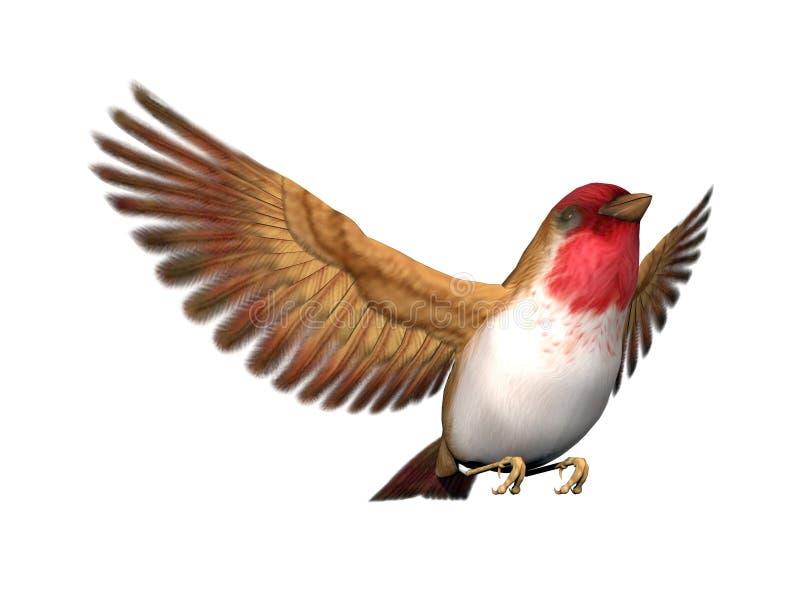Scarlett Finch Bird - 3D Render Stock Illustration - Illustration of ...