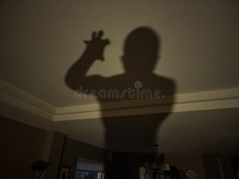 Shadow on the ceiling stock photo. Image of ceiling - 111047888