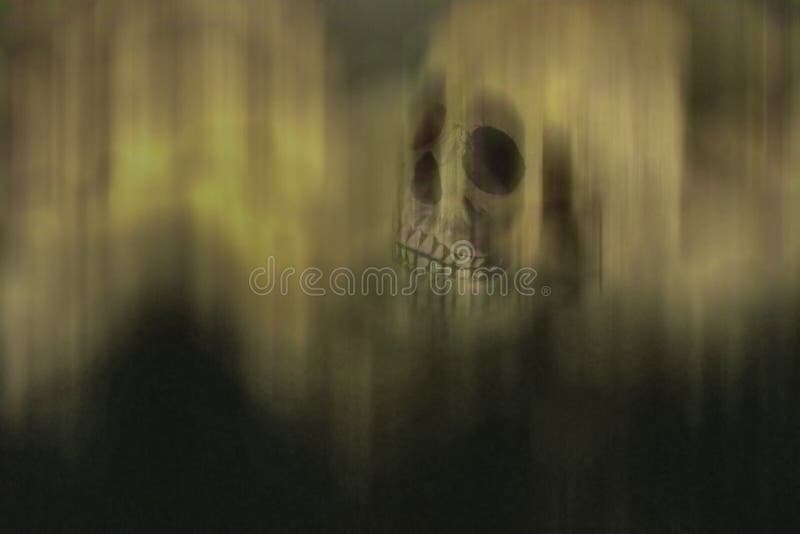 Spooky skull abstract stock photo. Image of grunge, hell - 216711834