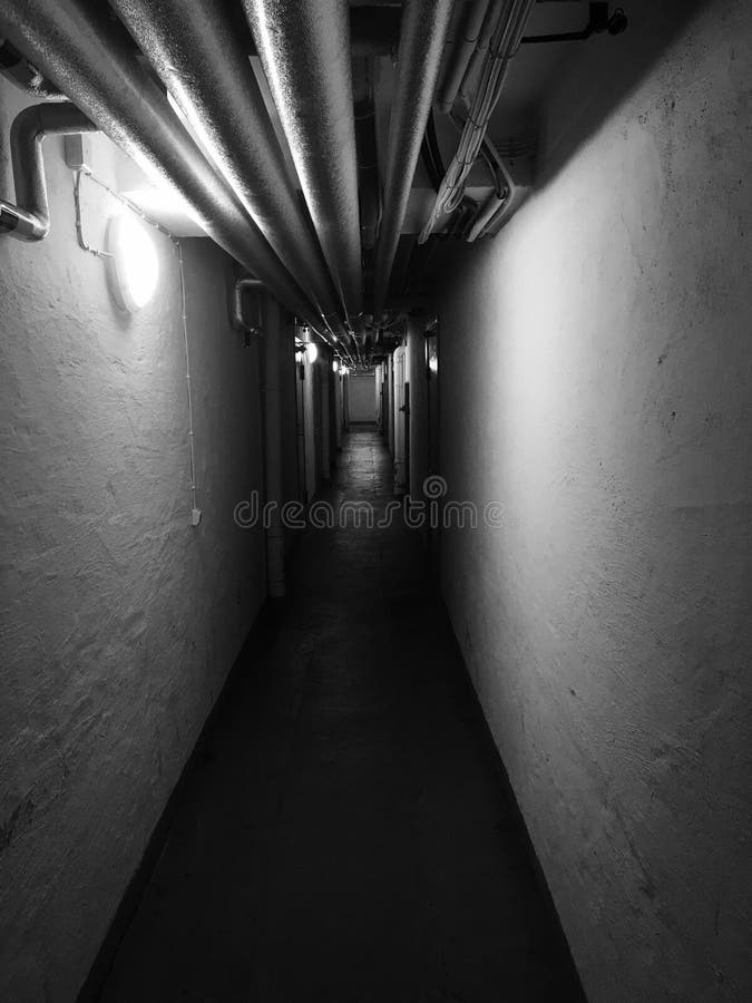 Scary cellar! stock image. Image of cellar, scary, black - 71692027