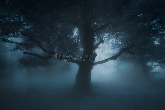 Scary Creepy Tree on Nightmare Forest Stock Photo - Image of landscape ...