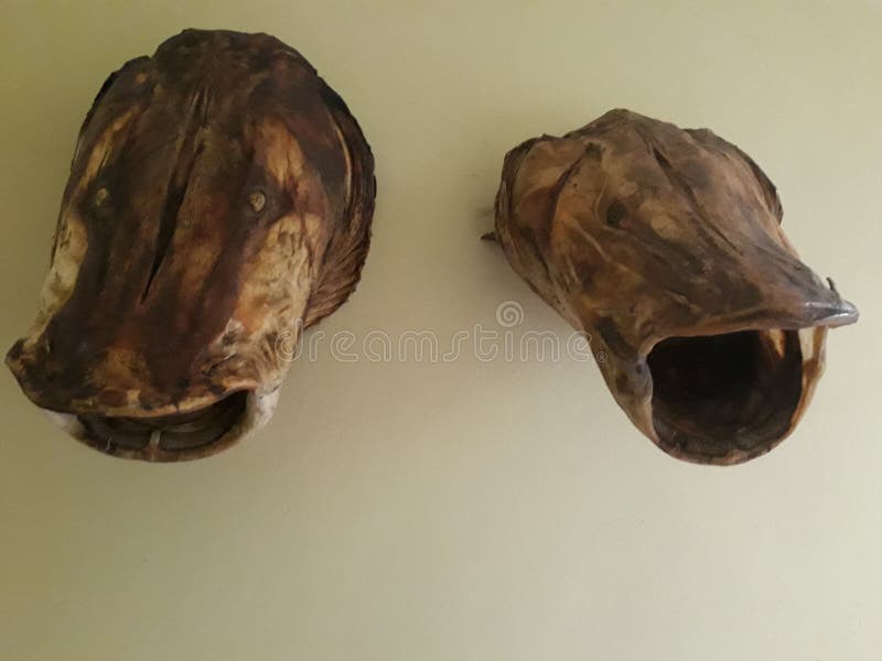 Scary decoration stock photo. Image of heads, wall, decoration - 130906232