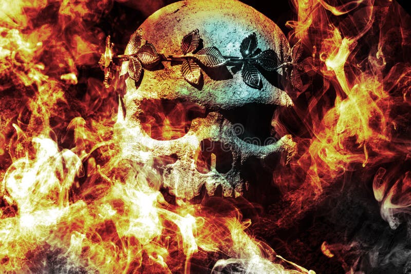 Halloween Skeleton Skull Fire Stock Photo - Image of leaf, princess ...