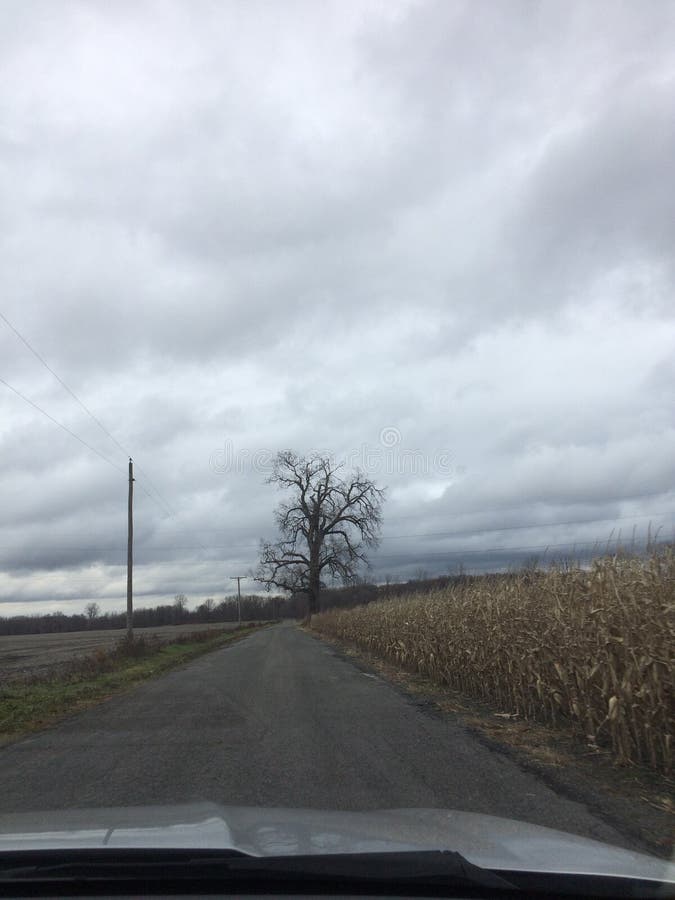 Scary Drive stock photo. Image of adult, lady, beauty - 22276016