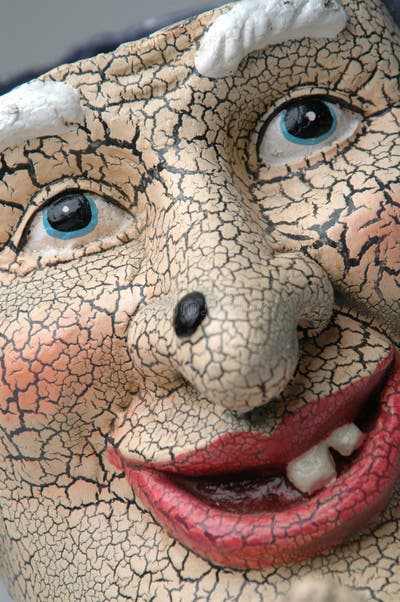 Scary face with mole stock image. Image of nightmare, macro - 216013