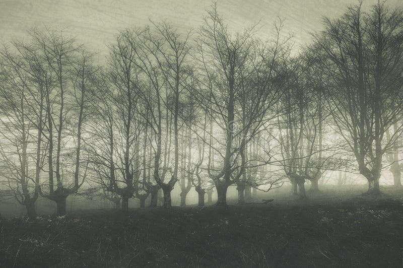 Scary Creepy Tree on Nightmare Forest Stock Photo - Image of landscape ...