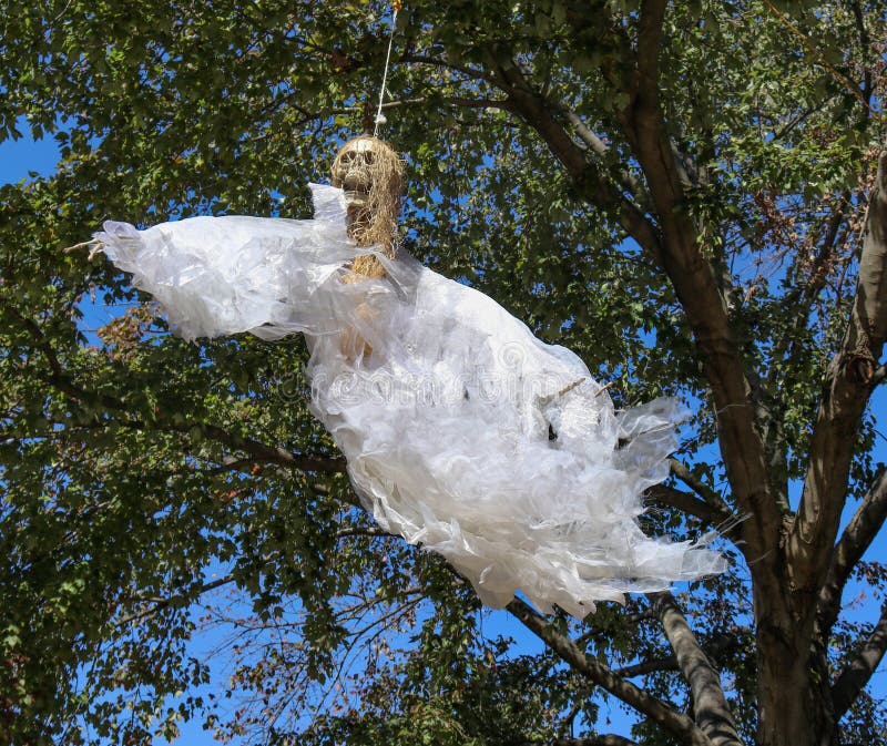 Scary Girl Skeleton - Ghost Hanging from Tree -fluttering in Wind Stock ...